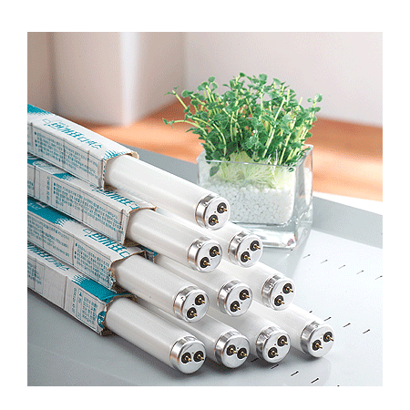 Macro21 Co. 번개표형광등FHF32SS EX-D(BOX,20개)[LF2451]